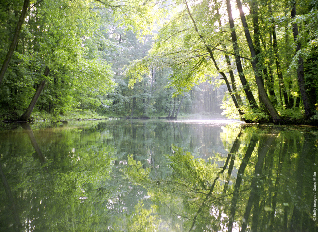 Embrace German Nature: All-New Tourism Campaign Targets GCC Visitors ...