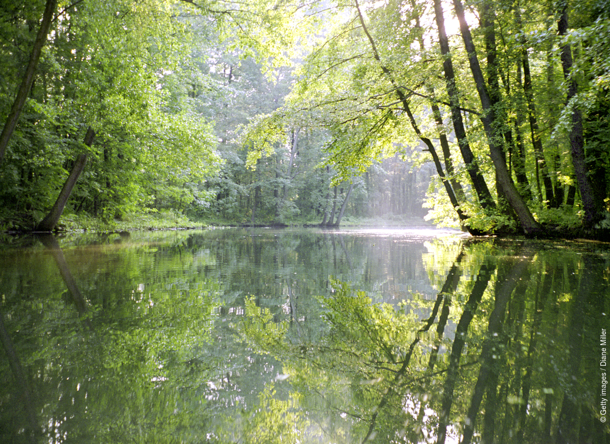 Embrace German Nature: All-New Tourism Campaign Targets GCC Visitors ...